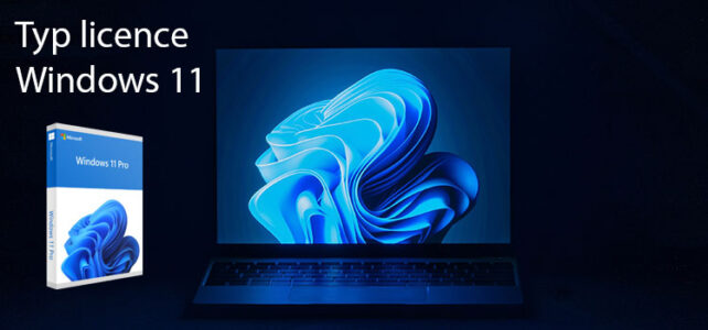 Jak zjistit typ licence windows 11 - Geekblog.cz